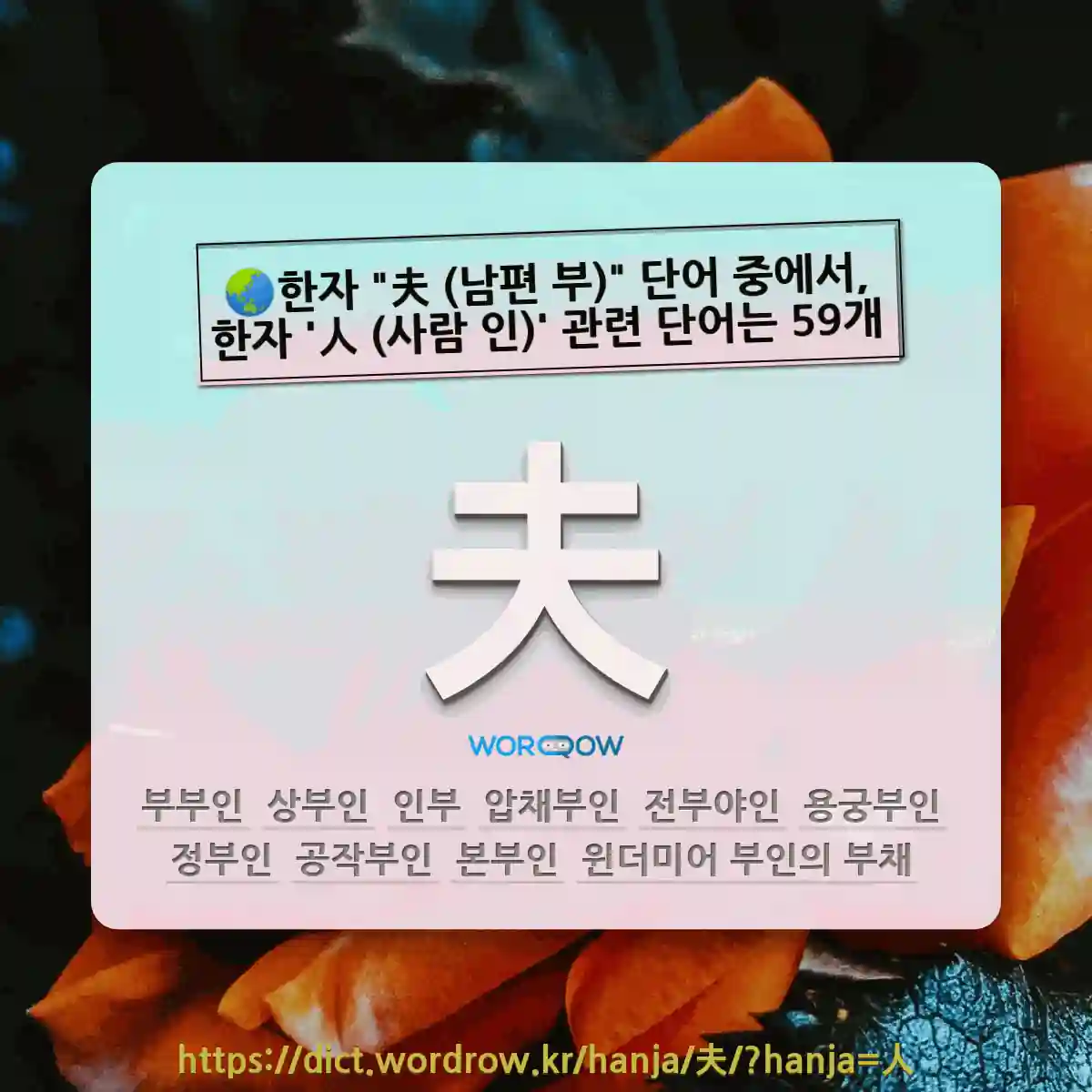 국어사전에서 🌏한자 "夫 (남편 부)" 단어 중에서, 한자 '人 (사람 인)' 관련 단어는 59개