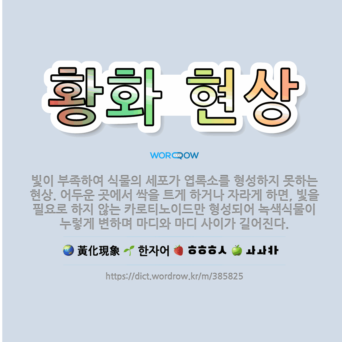 🌟황화 현상 빛이 부족하여 식물의 세포가 엽록소를 형성하지 못하는 현상 어두운 곳에서 싹을 트게 하거나 표준국어대사전