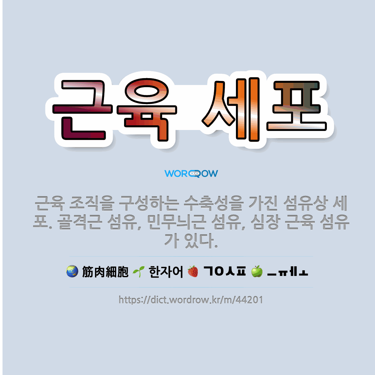 🌟근육 세포 근육 조직을 구성하는 수축성을 가진 섬유상 세포 골격근 섬유 민무늬근 섬유 심장 근육 표준국어대사전
