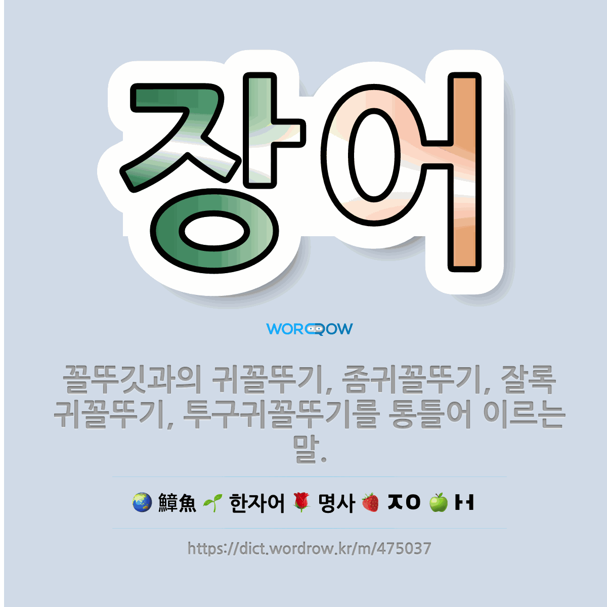 🌟장어 꼴뚜깃과의 귀꼴뚜기 좀귀꼴뚜기 잘록귀꼴뚜기 투구귀꼴뚜기를 통틀어 이르는 말 표준국어대사전